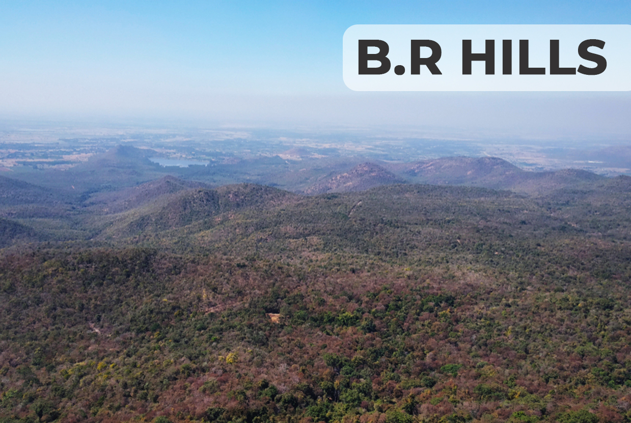 Freedo: Bike Rentals | Two Wheelers Rentals App